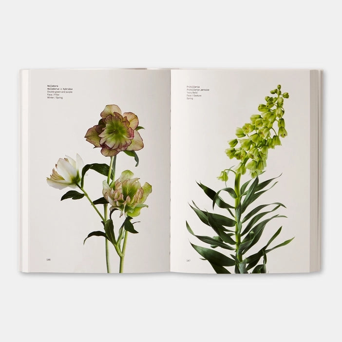 Book, Flower Color Guide – Danshire Market and Design